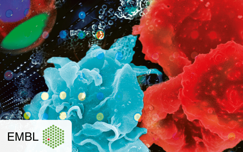 Fight Malaria - Distilling the science of malaria - Home